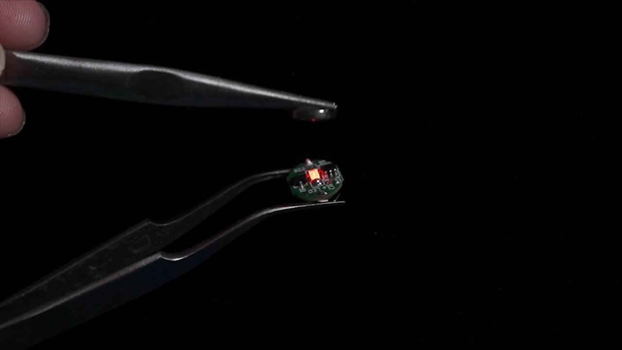 ADMGL 磁石で点灯！磁気スイッチ付LEDマイクロモジュール / リード線仕様 ADMGLW | Bit Trade One, LTD